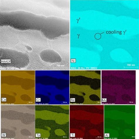 Stem Haadf Image Of The Microstructure Of Cmsx 4 Superalloy Annealed At