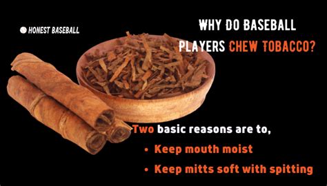 Why Do Baseball Players Chew Tobacco Consequences And Alternatives