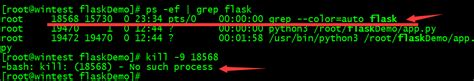 Linux下如何通过一行命令查找并杀掉进程linux查看进程并杀死 Csdn博客