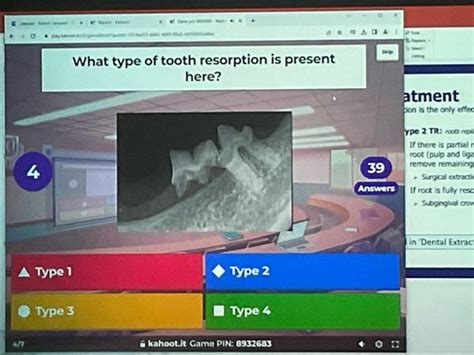 Feline Dentistry Flashcards Quizlet