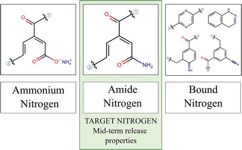 Exploring The Potential Of Ammoxidation Of Lignins To Enhance Amide Nitrogen For Wood Based Peat