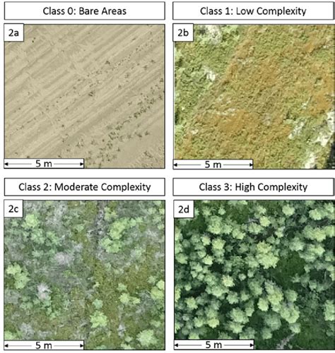 2 Examples Of Each Surface Complexity Class Found Within The Study