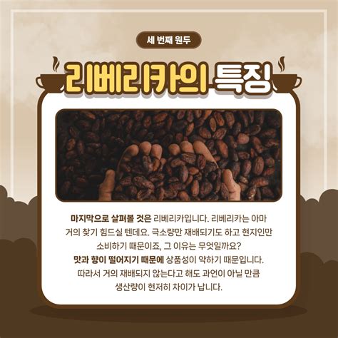 원두의 종류와 특징 툴디tooldi