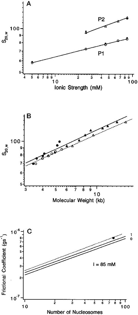 Ionic Strength And Size Dependence Of The Sedimentation Coefficients Of