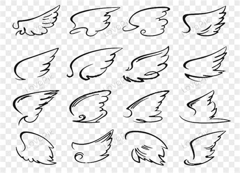 다양 한 천사 날개 일러스트 레이 션 Png 일러스트 무료 다운로드 Lovepik