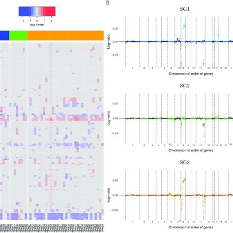 Genome Wide Clustering Of T Pll And Normal Control Expression Profiles