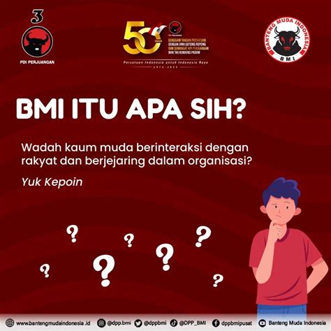 Apa Itu Banteng Muda Indonesia Banteng Muda Indonesia