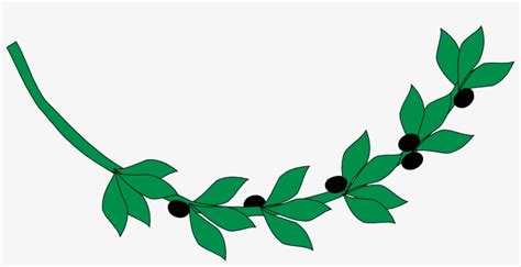 Medium Image Olive Branch Clip Art 800x373 Png Download Pngkit