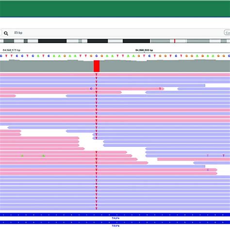 Visualization Of Slices Of Genomic Alignments Archived At The Ega A Download Scientific Diagram