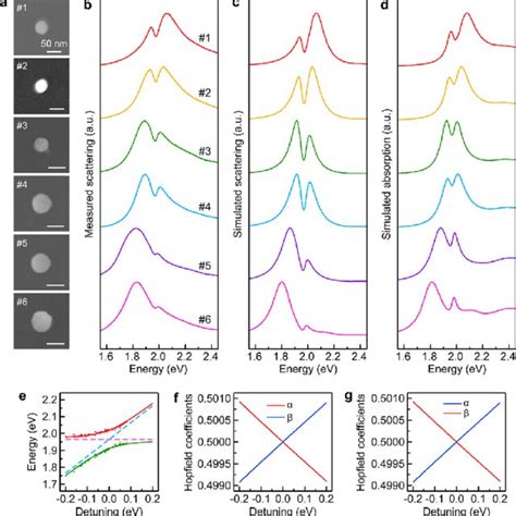 Resonance Coupling In The Au Nanocup On Ws 2 Monolayer Hybrid