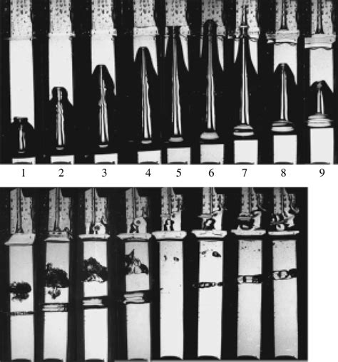 Vortex Generation And Development Interval Between Frames S Download Scientific Diagram