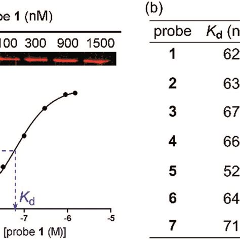 A A Plot Showing The Binding Of Probe 1 To Pna 91 Nm In Pbs