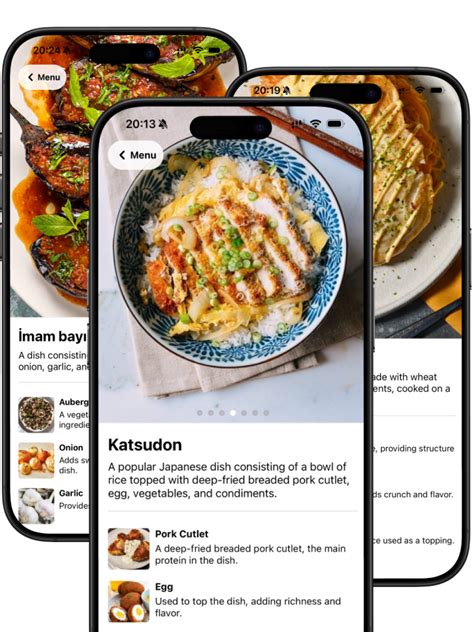 Menu Explain Translate And Visualize Menus