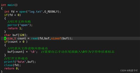 Linux 文件操作和系统接口 linux的接口 CSDN博客
