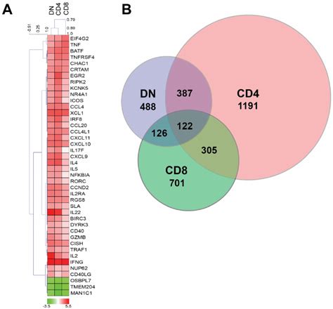Transcriptome Analysis Utilizing Microarray Of Stimulated Cd4 Cd8 And Download Scientific