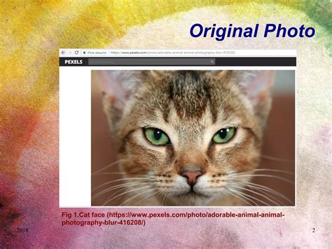 Drtad Blender Tutorial Image Processing Morphing Pdf Graphics Software Computer Software