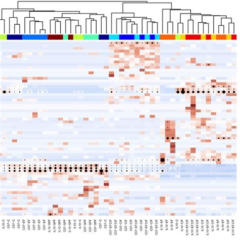 heatmap showing hierarchical clustering of bacterial composition