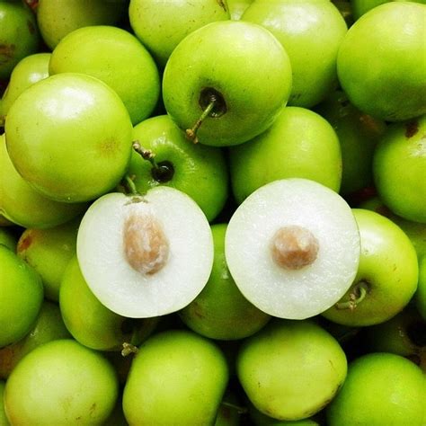 Quả Táo Xanh Việt Nam Lợi Ích Sức Khỏe Cách Trồng Và Tiềm Năng Phát Triển