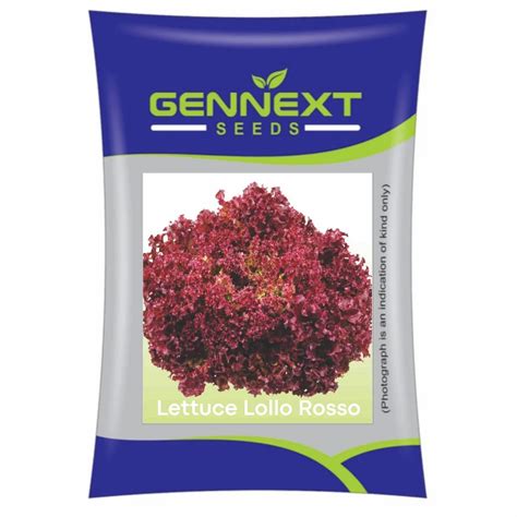 Lollo Rosso Lettuce Seed Packaging Type Packet At ₹ 12000 Kg In New Delhi
