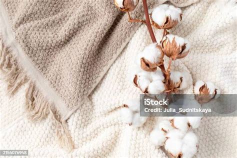 수건과 유기 아름 다운 목화 꽃 배경 중립 색상 평면도 위생 스파 및 피부 관리를 위한 패브릭 욕실 액세서리 개인 장식품에 대한 스톡 사진 및 기타 이미지 Istock