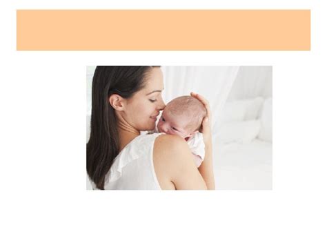 Analgesiaanesthesia Pudendal Block Local Anesthetic Is Inltrated Into