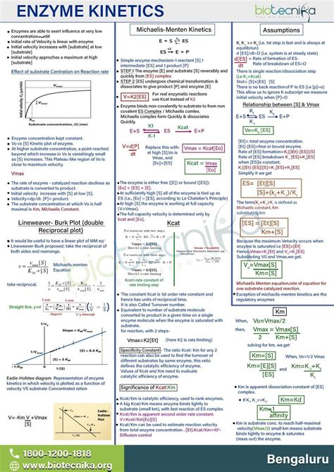 Enzyme Kinetics Medical School Stuff Biochemistry Notes Biology Facts