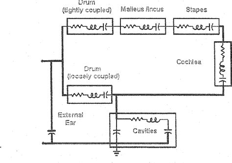 Figure 11 From Finite Element Model Of The Human Eardrum And Middle