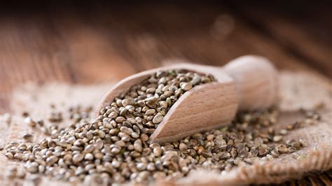 Hemp Seeds Nutrition Benefits Uses And How To Add Them To Your Daily