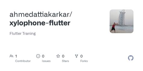 GitHub Ahmedattiakarkar Xylophone Flutter Flutter Traning