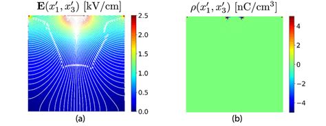 Simulated Electric Field Vector Distribution A For Space Charge Free