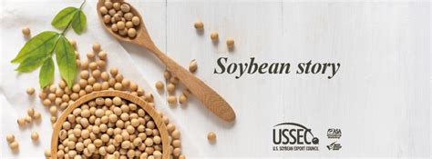 미국대두협회 Home