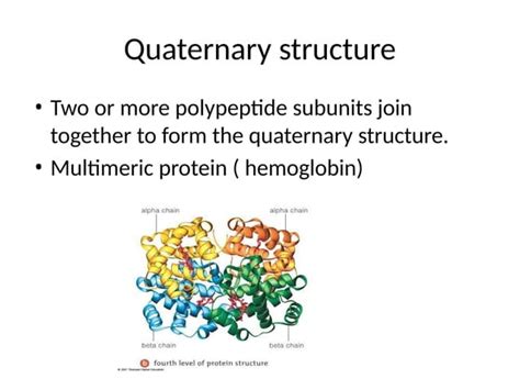 Classification Of Protein Pptx