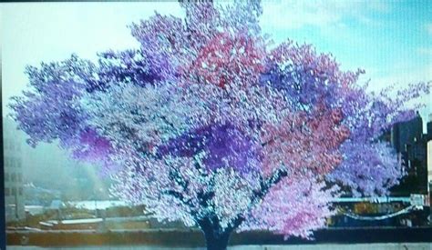 The Tree Of 40 Fruit A Masterpiece By Sam Van Aken