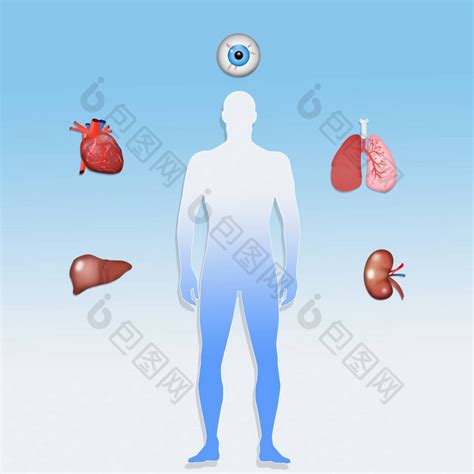 器官捐赠移植图片 包图网企业站