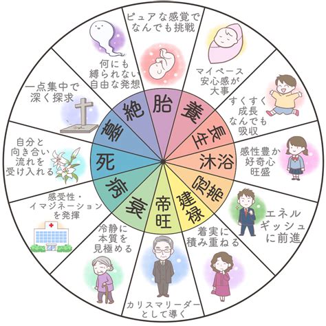 四柱推命の十二運星【胎】の意味｜性格・適職・恋愛を解説｜優しい四柱推命