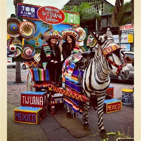 Facebook Tijuana Tijuana Mexico Cebras