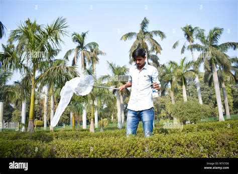 Young Man Entomologist Collecting Insects Using An Insect Net Or