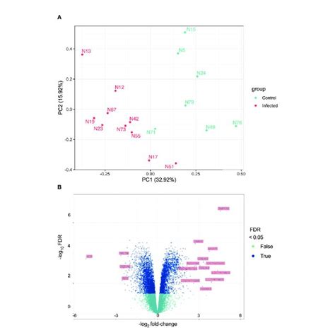Differential Expression Analysis A Principal Component Analysis