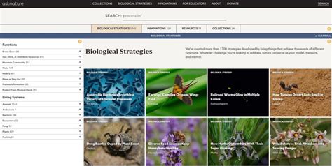 Natural Entrepreneurs Discover Nature Method 2 Use The Ask Nature