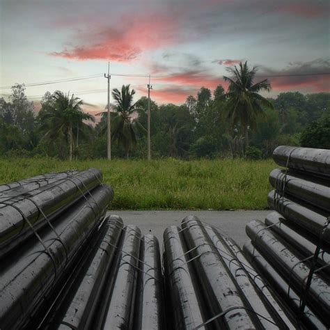 van leeuwen thailand has grown into a major player over the past 30