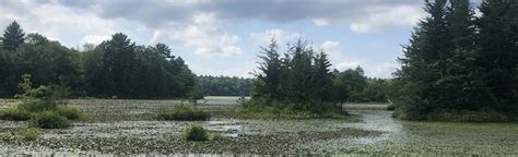 Borderland State Park Loop Trail Massachusetts 1160 Reviews Map