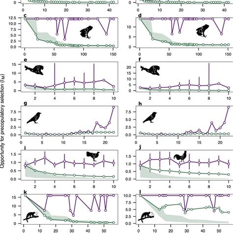 Short Term Temporal Dynamics In The Opportunity For Precopulatory