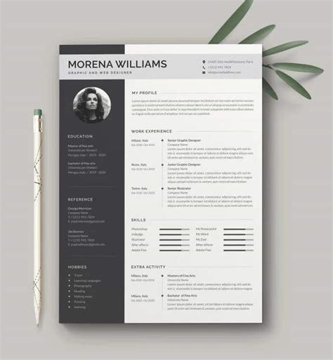 Technical CV Templates Freelancer