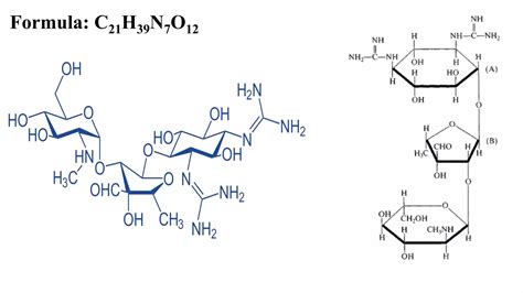 Streptomycin Structural Features Pptx