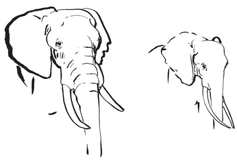 Difference Between Male And Female Elephants Bambi A Before And After
