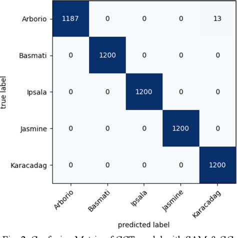 Compact Convolutional Transformer Based On Sharpness Aware Minimization