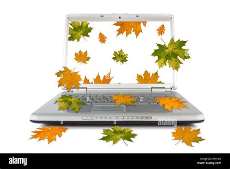 Laptop Notebook Computers Computer Leaf Model Design Project