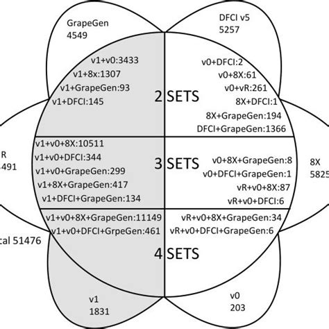 Representation Of Overlap Between The Different Sets Of Predicted Gene Download Scientific