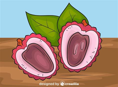 Lychee Cut In Half Free Vector Images On
