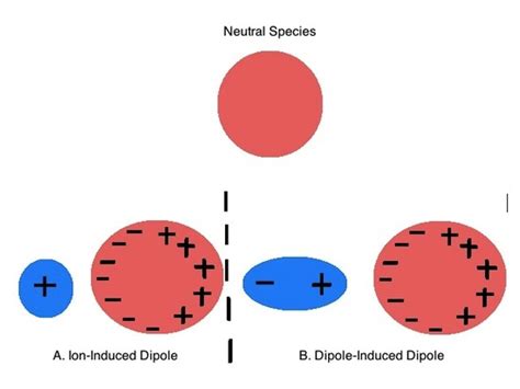 Section 5 3 3 1 Hard Hard And Soft Soft Preferences May Be Explained And Quantified In Terms Of